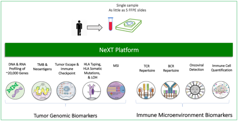 Tumor microenvironment: An Emerging Space in Cancer Theranostics ...