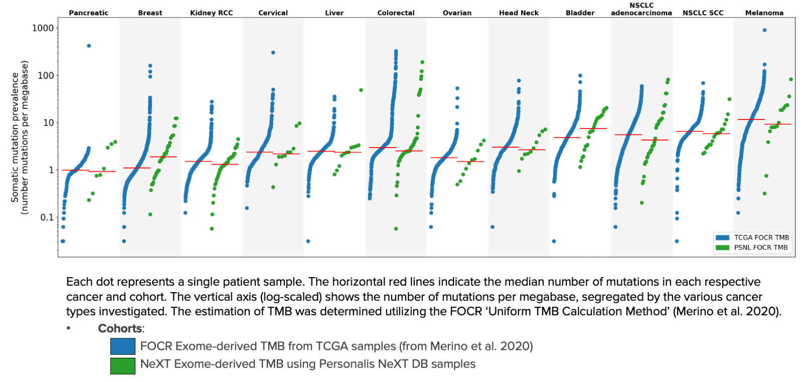 Tumor Mutational Burden: A Continually Evolving Biomarker for ...