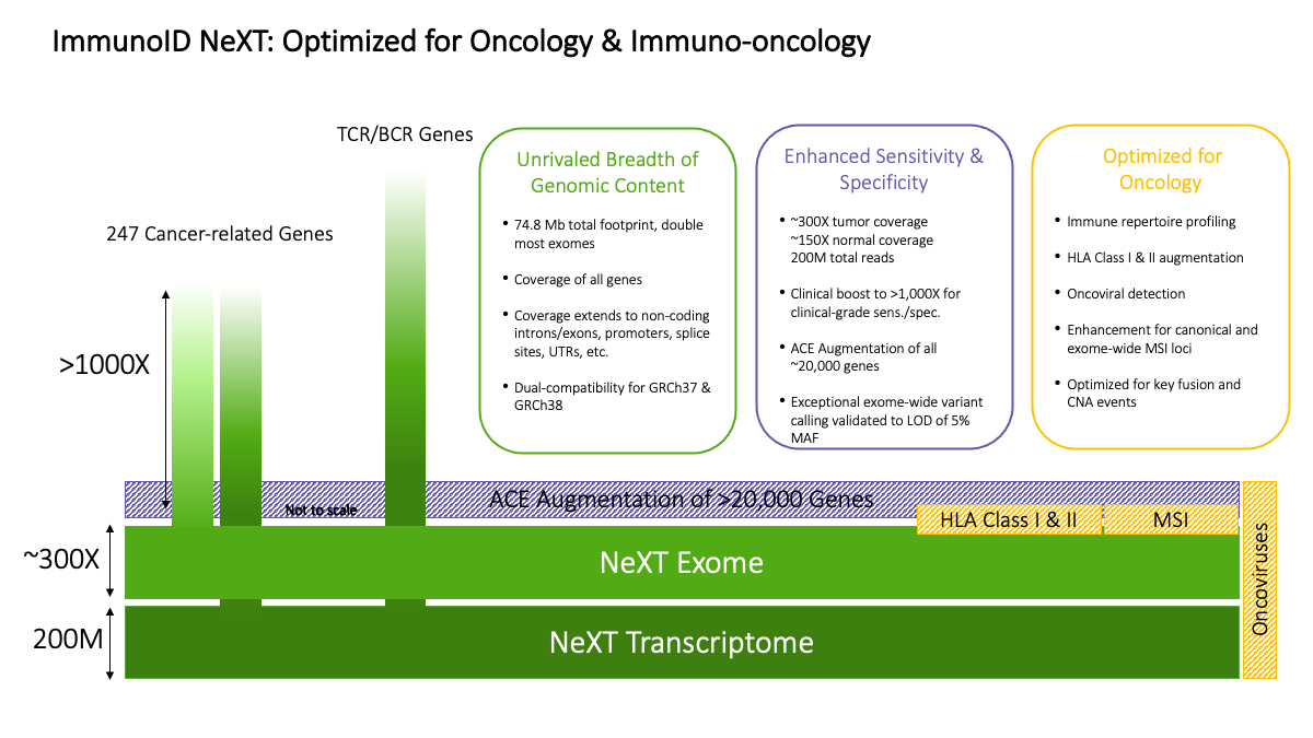 Prevailing Cancer Immunotherapy Challenges - Personalis